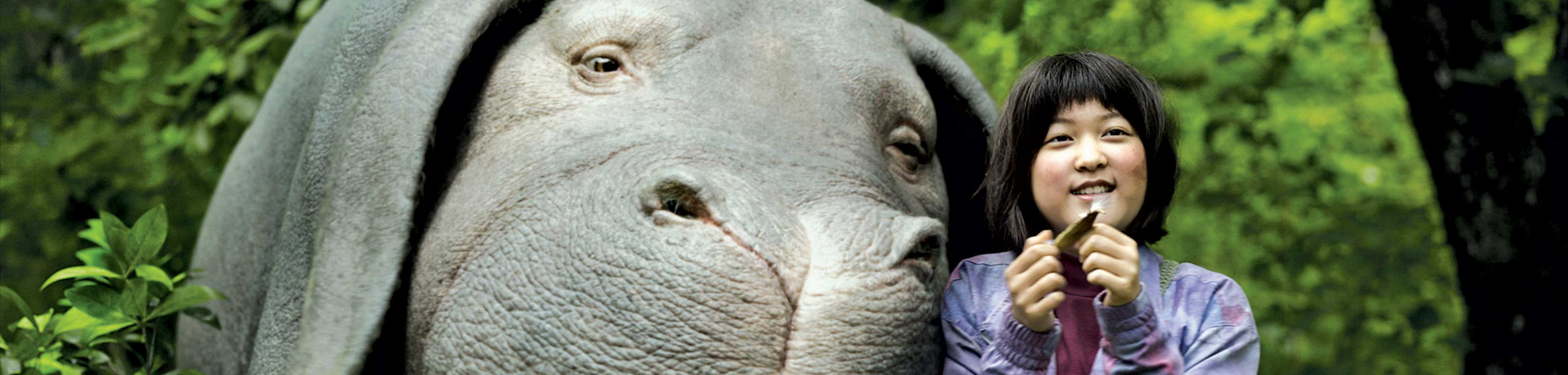 Okja - Filmdomein | Filmdomein