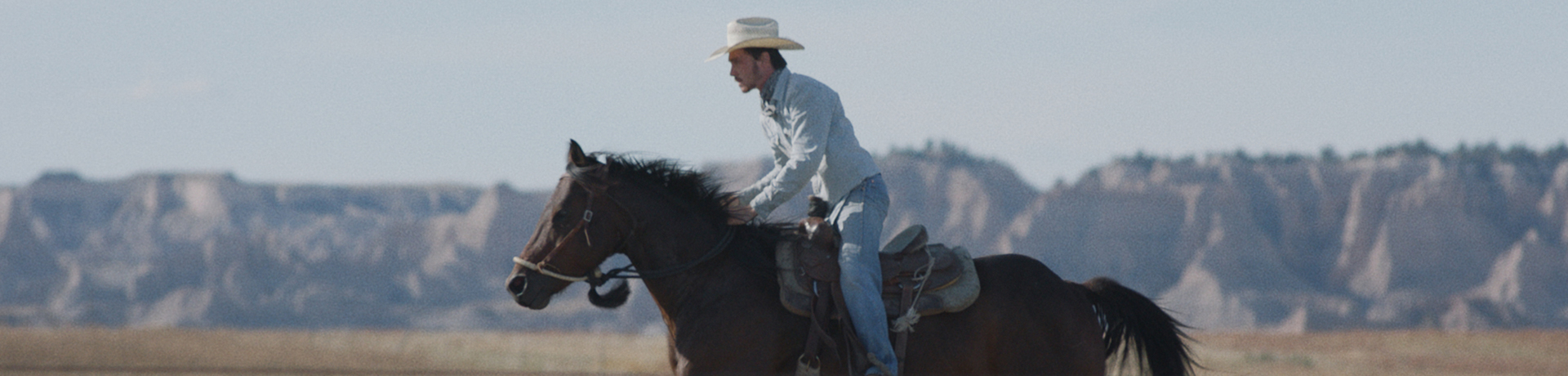 The Rider | Filmdomein