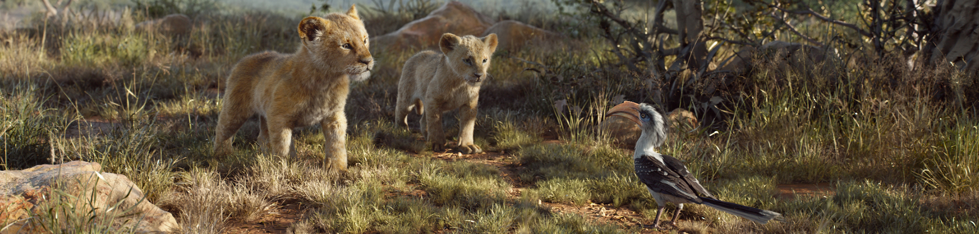 Recensie The Lion King | Filmdomein